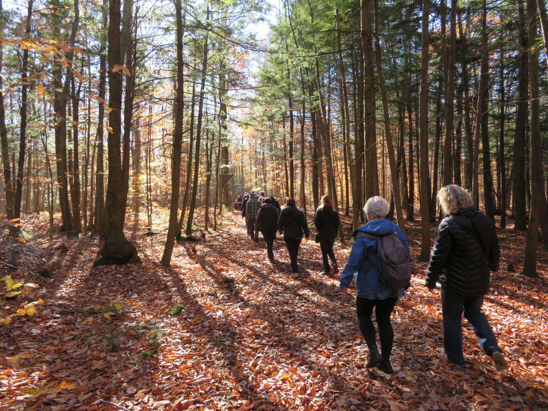 Du Québec à Compostelle - Site officiel des chemins de Compostelle