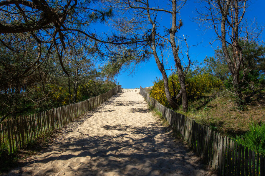 Voie de Soulac - Site officiel des chemins de Compostelle