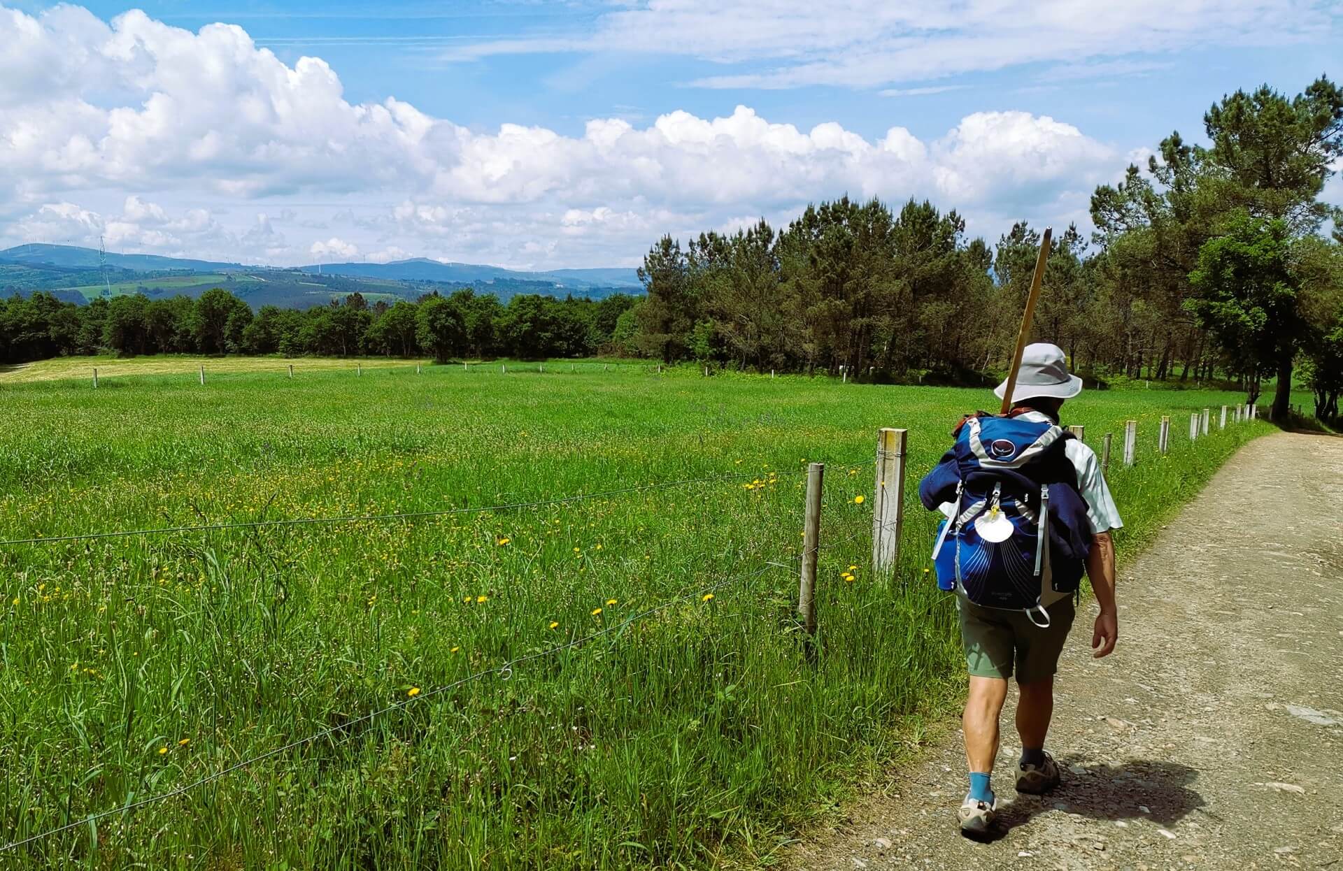 Exposition à Toulouse - Site officiel des chemins de Compostelle